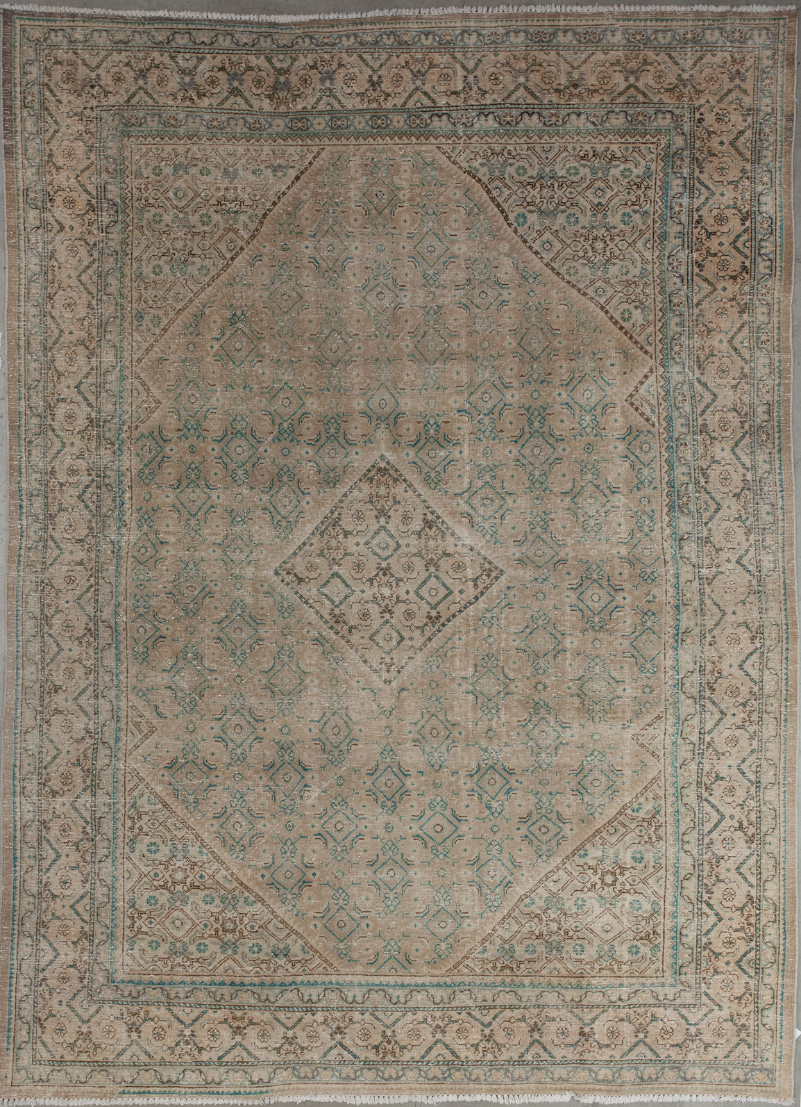10054815 Pakistan Persian 8.11' x 12.04' – Caravan Rug